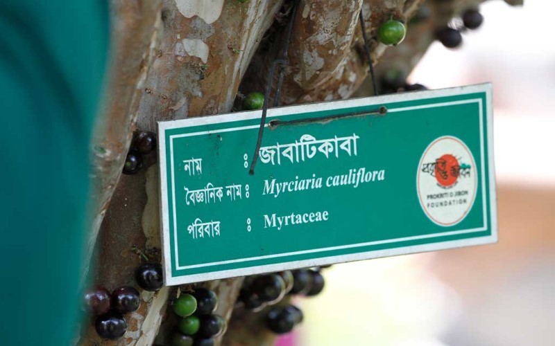 Natural Resource Management – Prokriti O Jibon Foundation